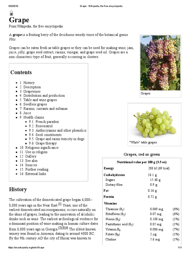 Grape | PDF