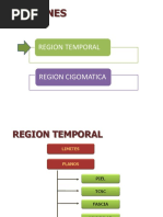 Mapa Conceptual - Hernias | PDF