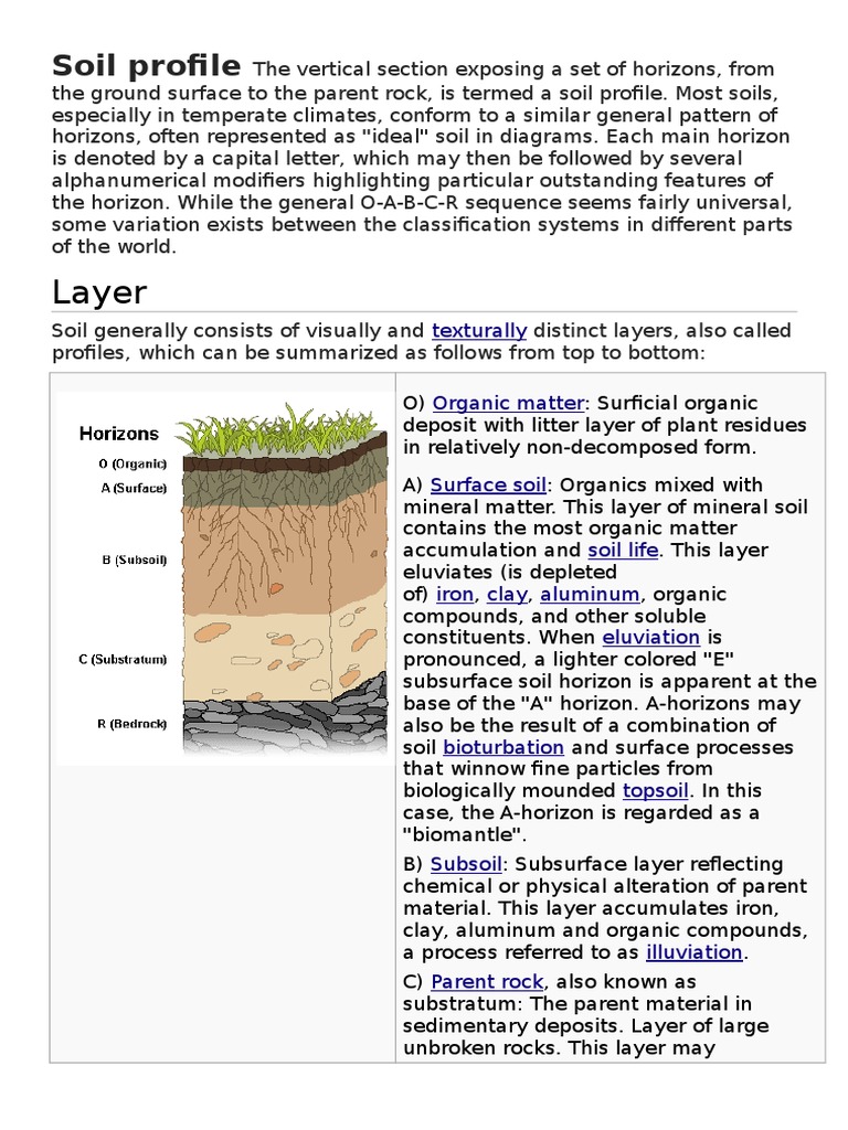 Soil Profile Horizons