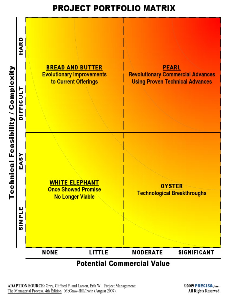 Project Portfolio Matrix | PDF
