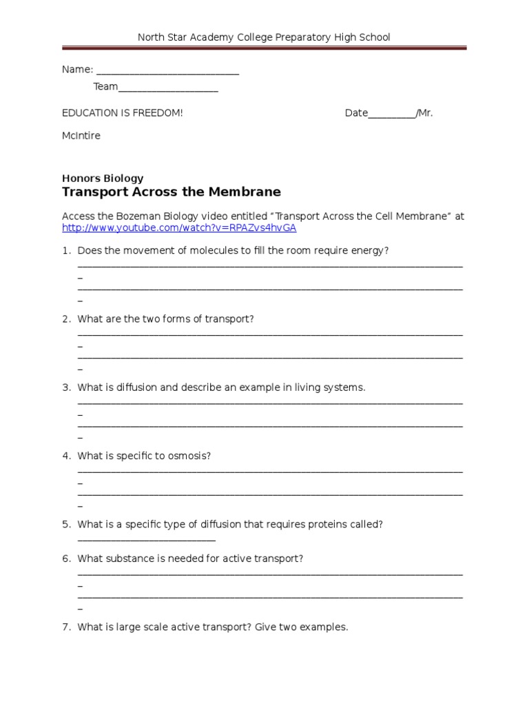 2013-04-08 Transport Across The Cell Membrane Study Guide | PDF