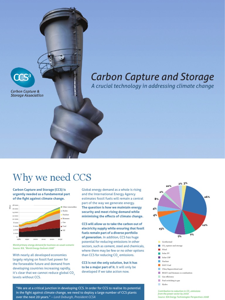 CCSA Briefing Leaflet | PDF | Carbon Capture And Storage | Carbon Dioxide