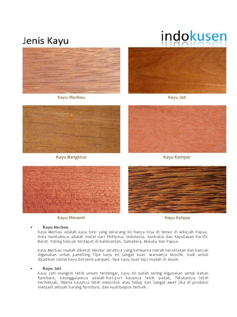 Macam-macam Jenis Kayu dan Ciri-ciri Masing-masing | PDF