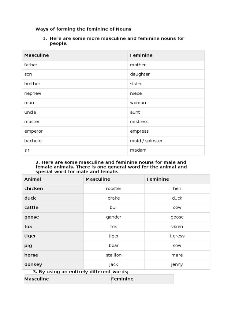 Feminine Forms of Nouns Explained | PDF | Language Arts & Discipline