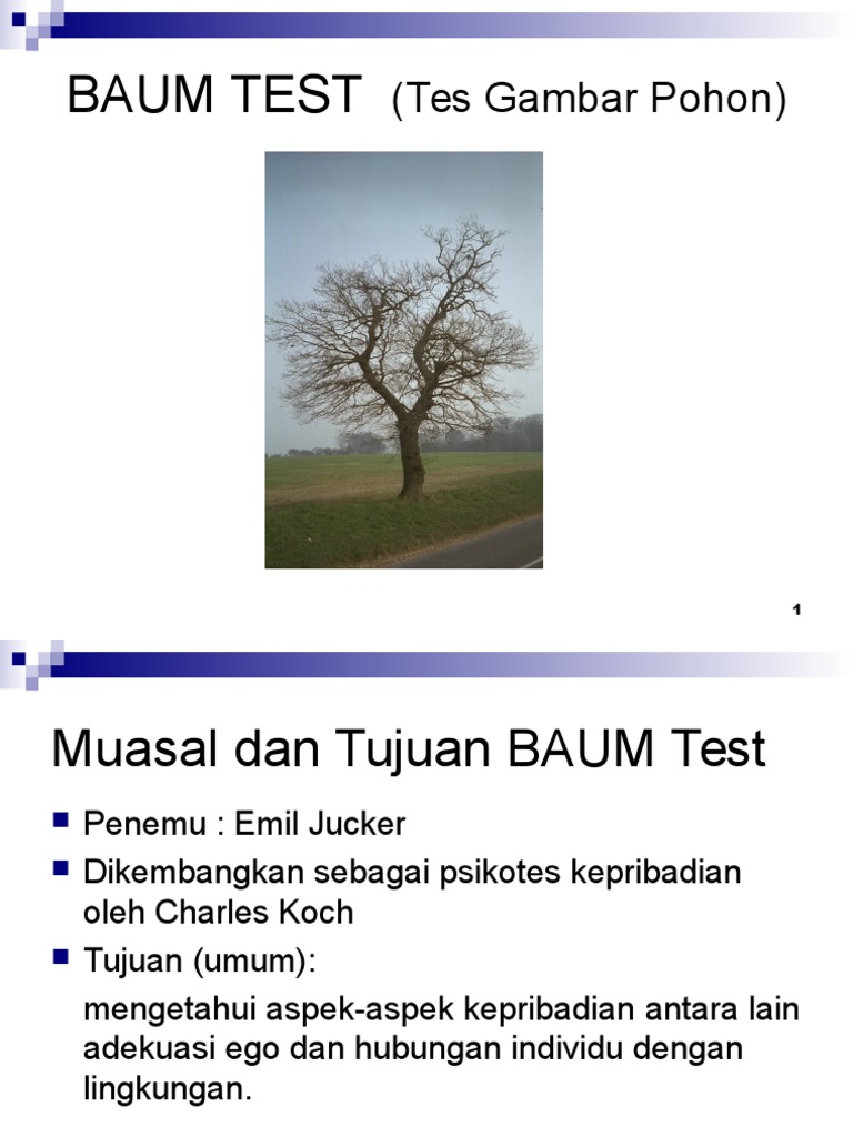 Baum Test | PDF