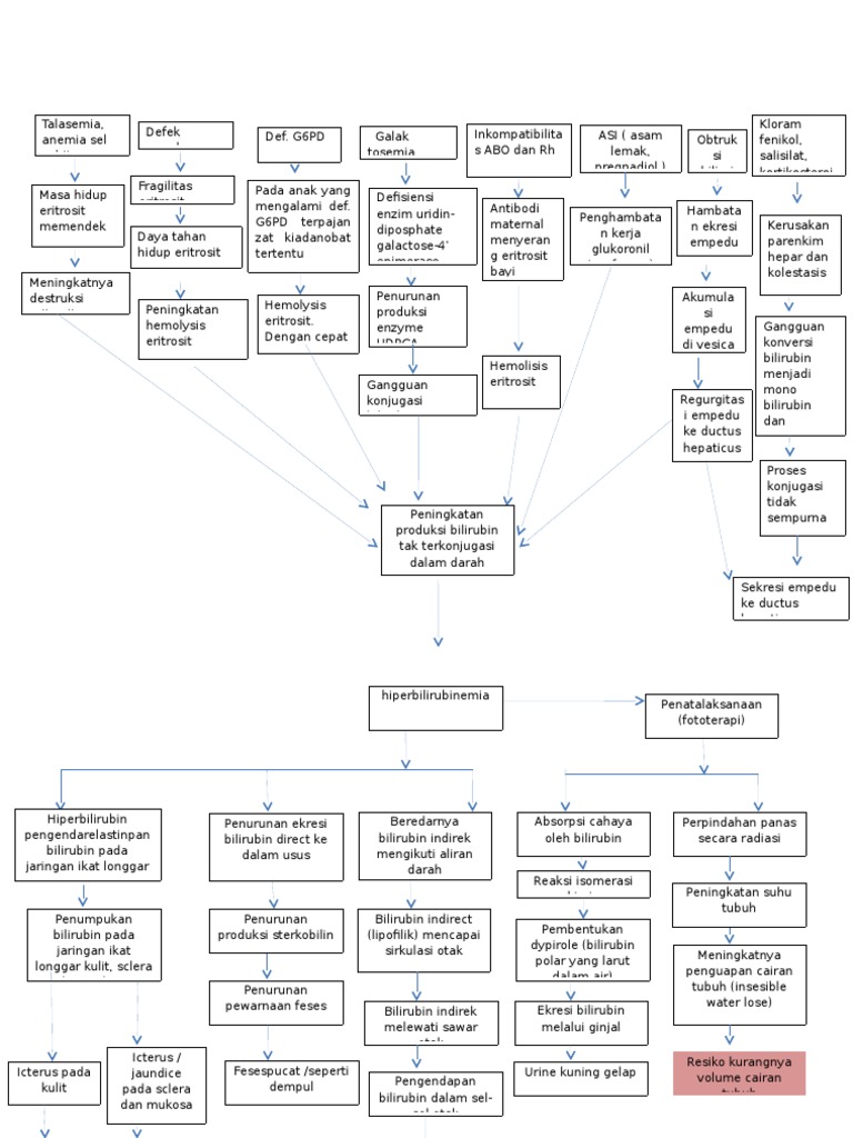 Pathway Hiperbilirubin