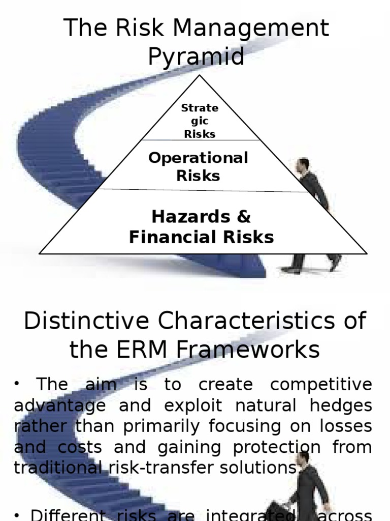 The Risk Management Pyramid: Hazards & Financial Risks | PDF