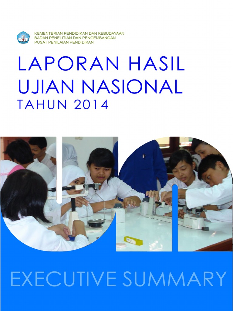 Executive Summary UN 2014 | PDF