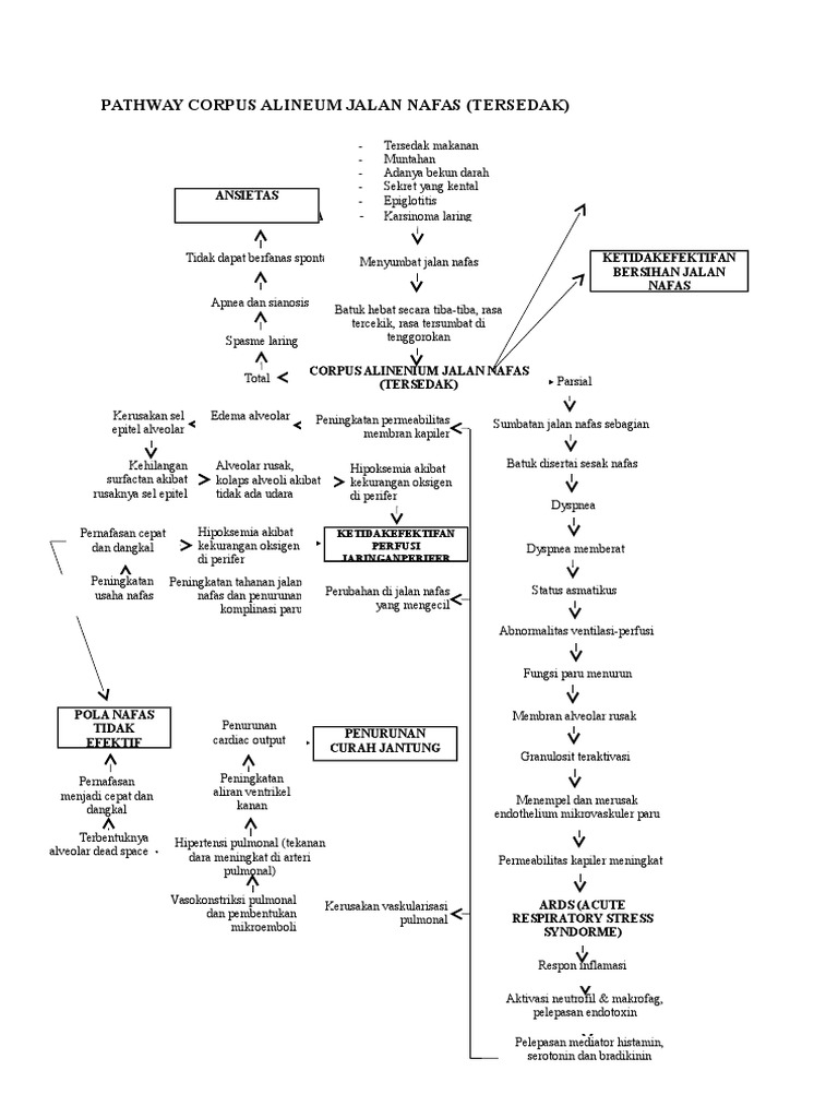 Pathway Corpus Alineum Jalan Nafas Gadar | PDF
