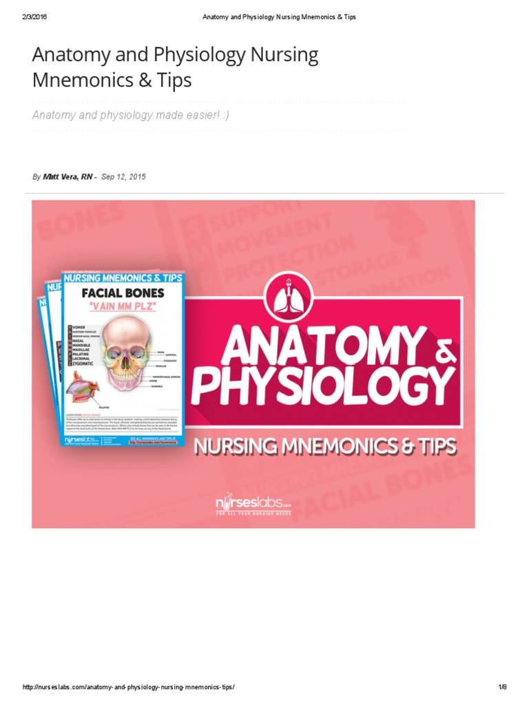 Anatomy and Physiology Nursing Mnemonics & Tips | PDF | Epithelium ...
