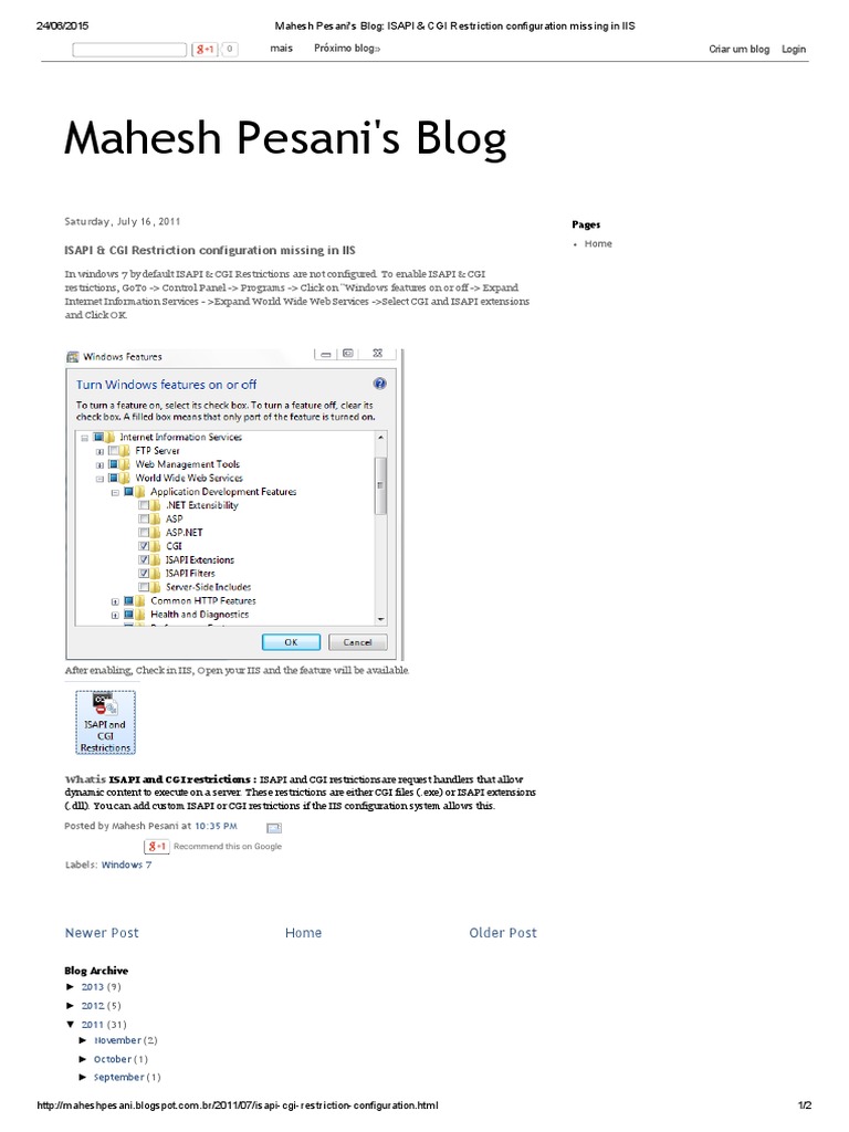 ISAPI & CGI Restriction Configuration Missing in IIS | PDF | Business ...