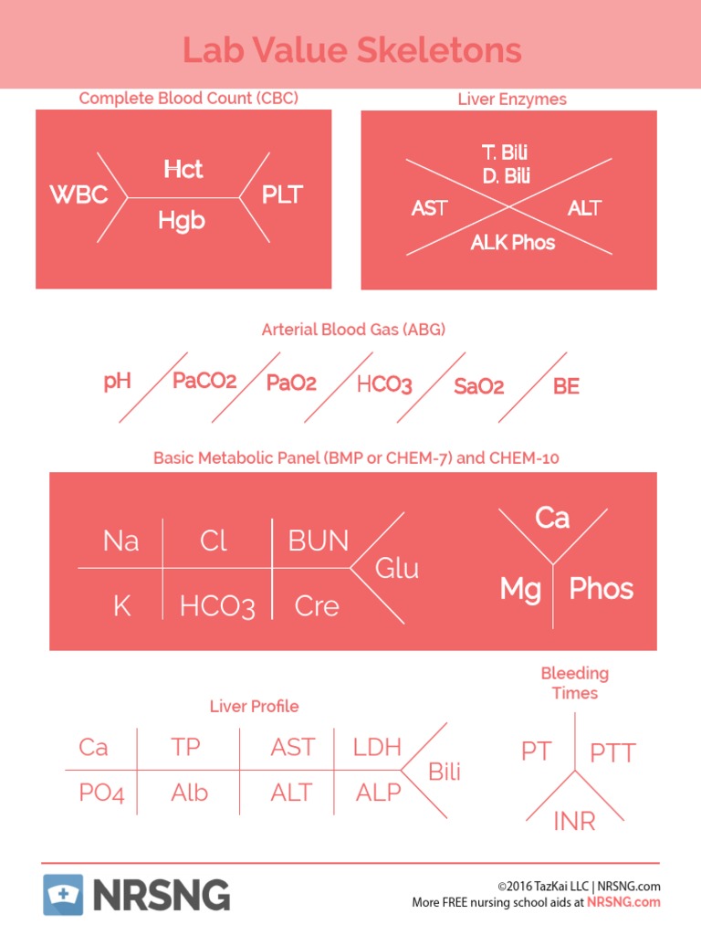Lab Value Skeletons | Medical Tests | Hematology