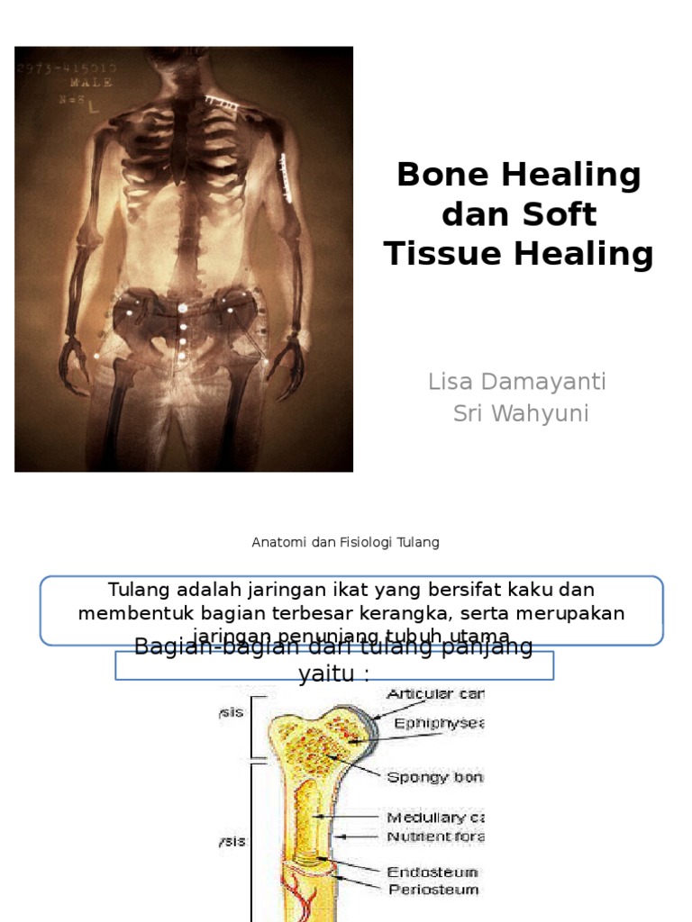 Bone Healing Dan Soft Tissue Healing | PDF