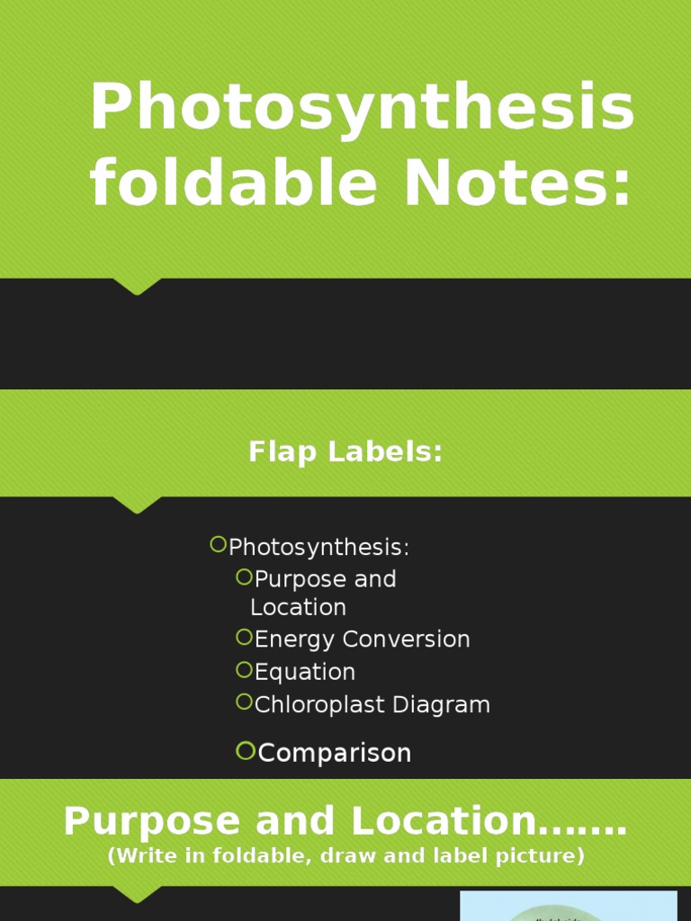 Photosynthesis Foldable Notes - 2016 | PDF