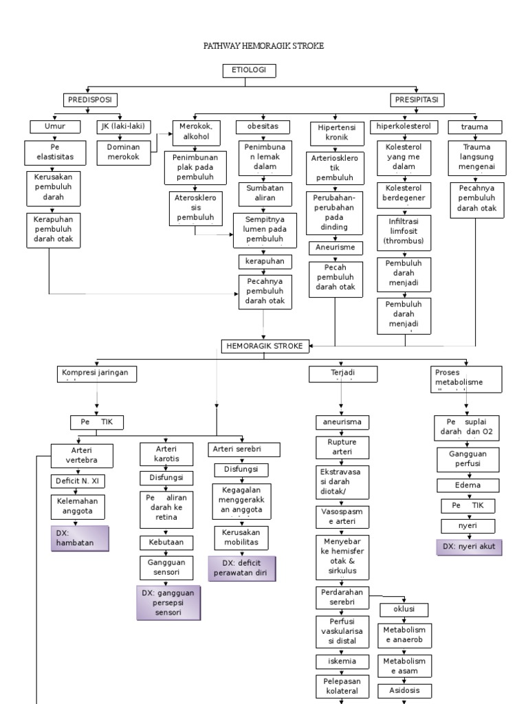 Pathway Hemoragik Stroke | PDF