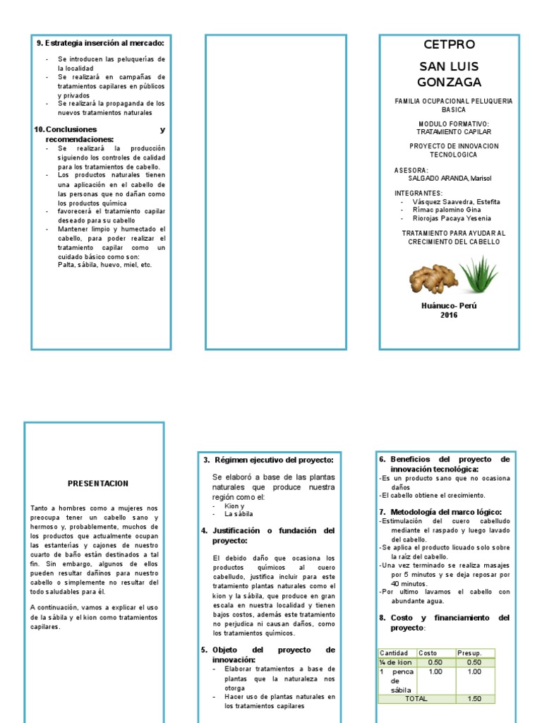 Formato para Triptico | PDF | Business