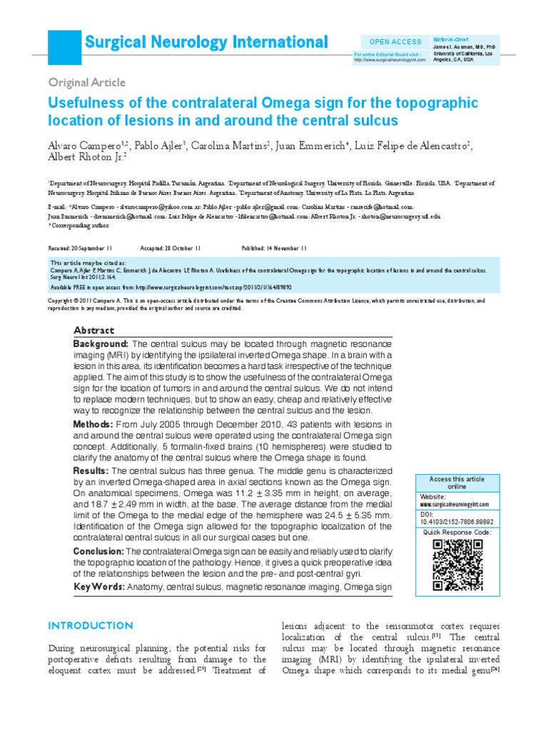 Omega Sign | Download Free PDF | Corpus Callosum | Cerebral Cortex