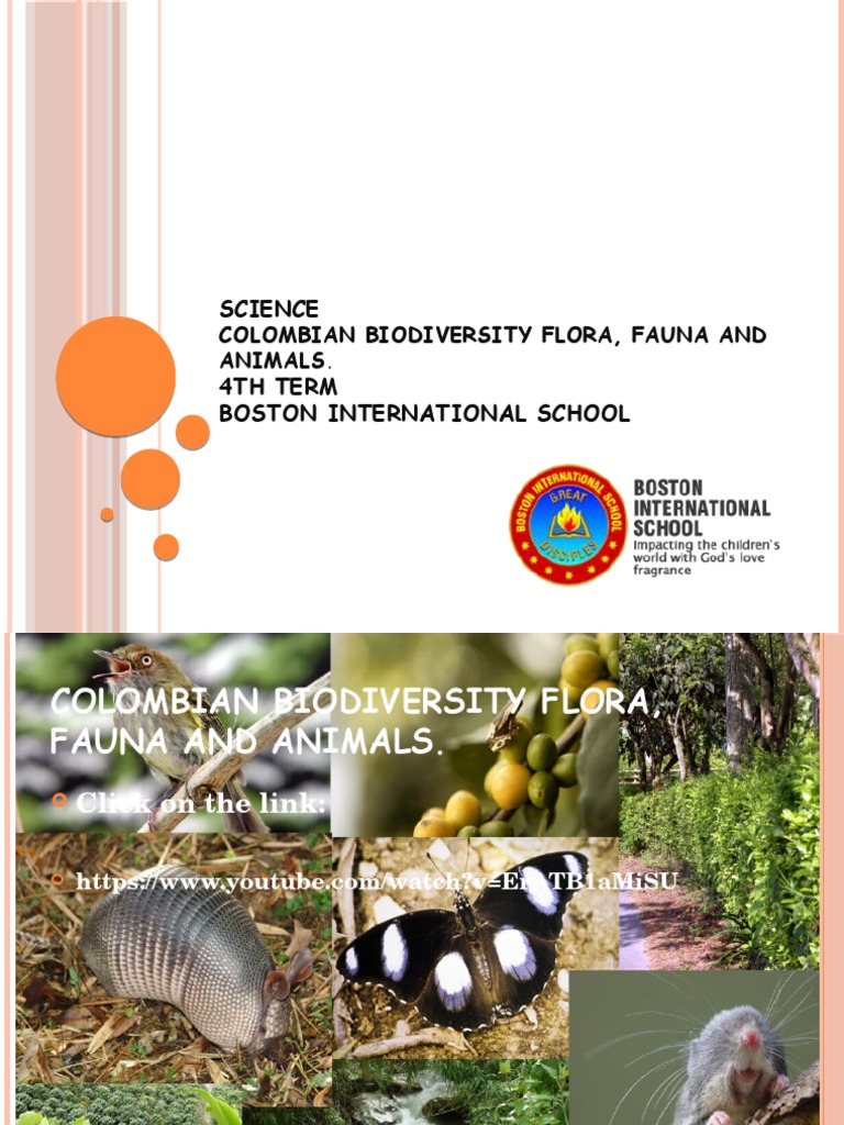 Science 4Th Term Boston International School: Colombian Biodiversity ...
