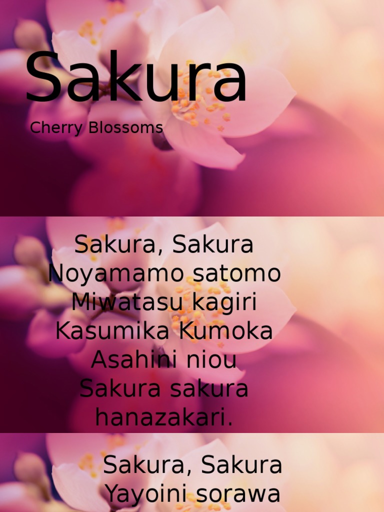 Sakura Complete Lyrics Japanese Song