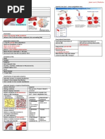MIMS Summary Table-G6PD | PDF