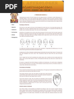 Face Reading | PDF | Human Nose | Lip