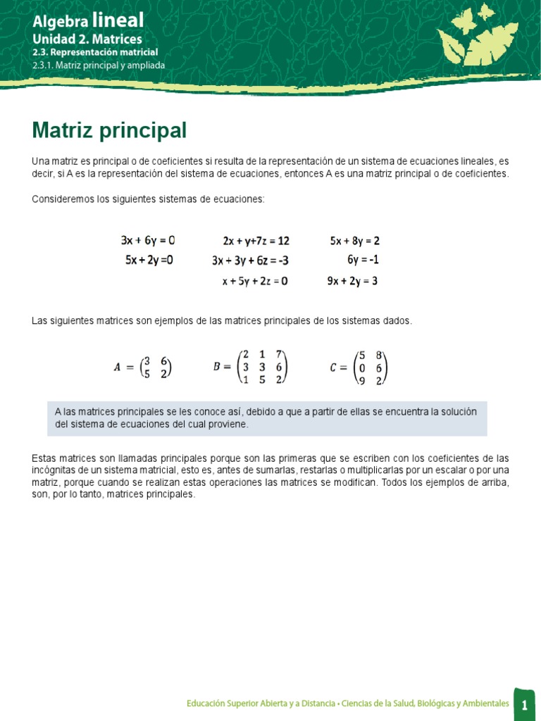 Matrices Principales y Aumentadas en Álgebra | PDF | Matriz ...