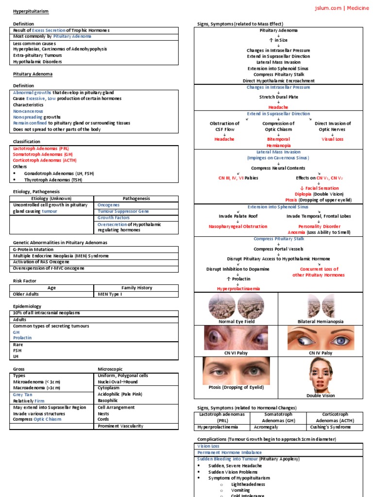 Hyperpituitarism | PDF | Growth Hormone | Endocrine System