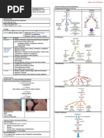 Cushing's Disease | PDF | Adrenal Gland | Adrenocorticotropic Hormone