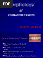 Types and Functions of Tooth Embrasures | PDF