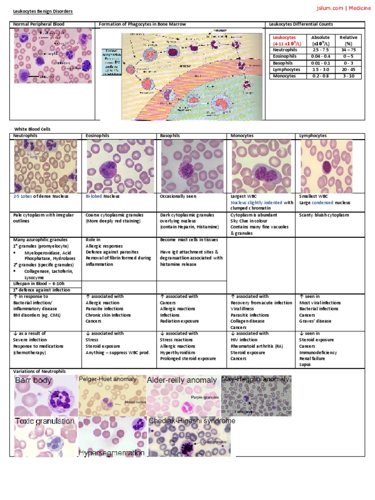 Leukocytes Benign Disorders | White Blood Cell | Health Sciences