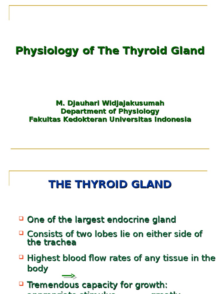 Intro To The Function of Thyroid Gland | PDF