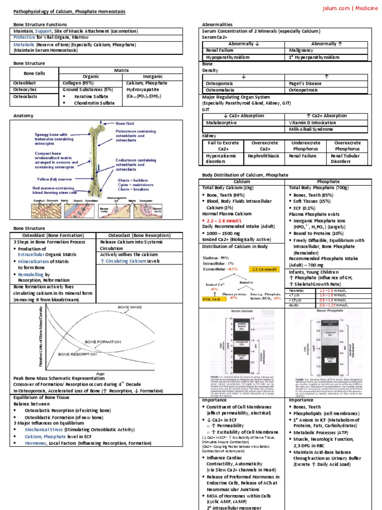 Pathophysiology of Calcium, Phosphate Homeostasis | PDF | Calcium In ...