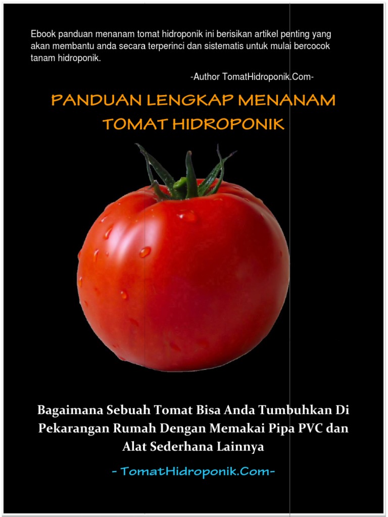 Ebook Menanam Tomat Hidroponik | PDF