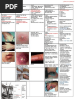 Cellulitis Pathophysiology | PDF | Inflammation | Medical Specialties
