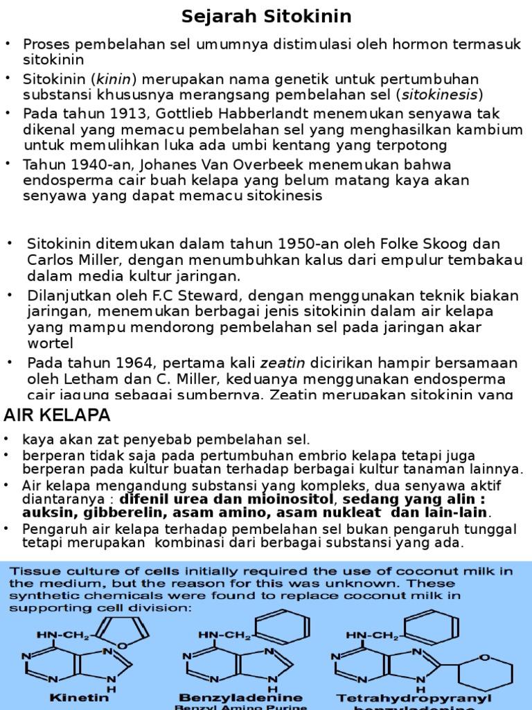 Sejarah Dan Biosintesis Sitokinin 2013 | PDF | Kesehatan Holistik