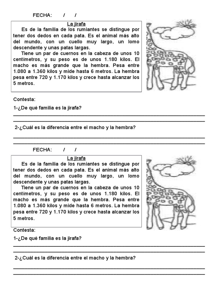 Comprensión Lectora | PDF | Arboles | Insectos