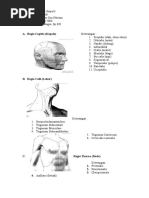 Pembagian Regio Tubuh Manusia | PDF | Kajian Bahasa Asing | Sains ...