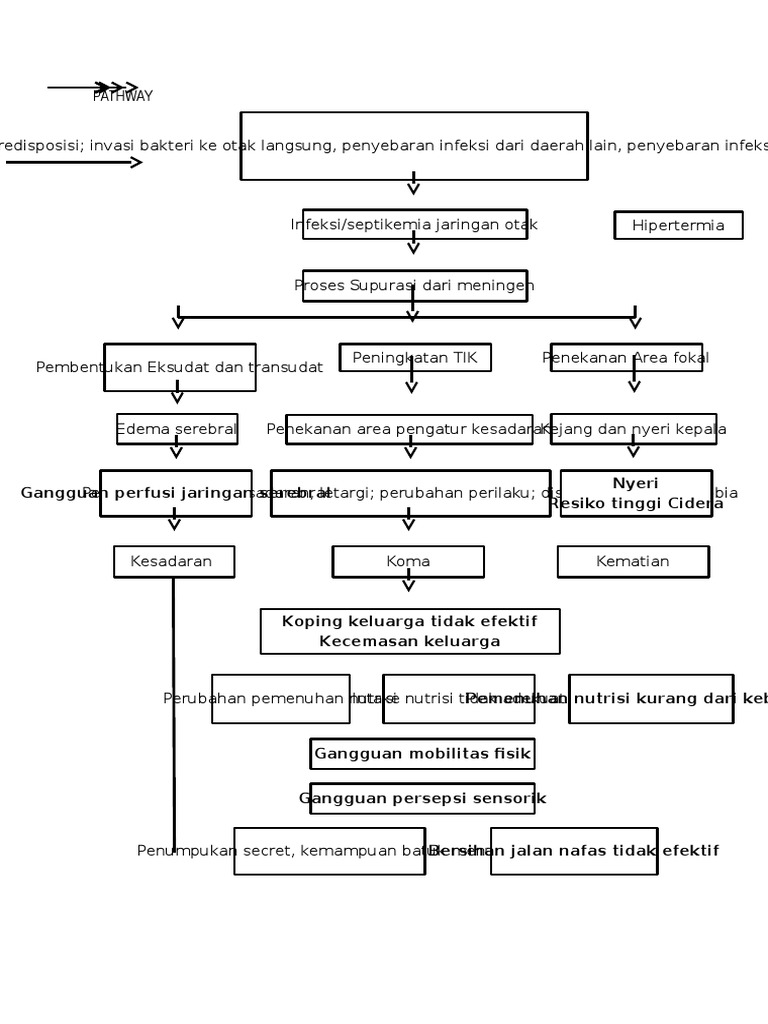 Pathway Abses Otak | PDF