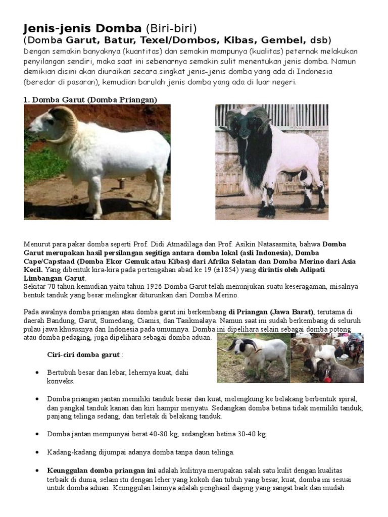 Jenis Domba di Indonesia | PDF