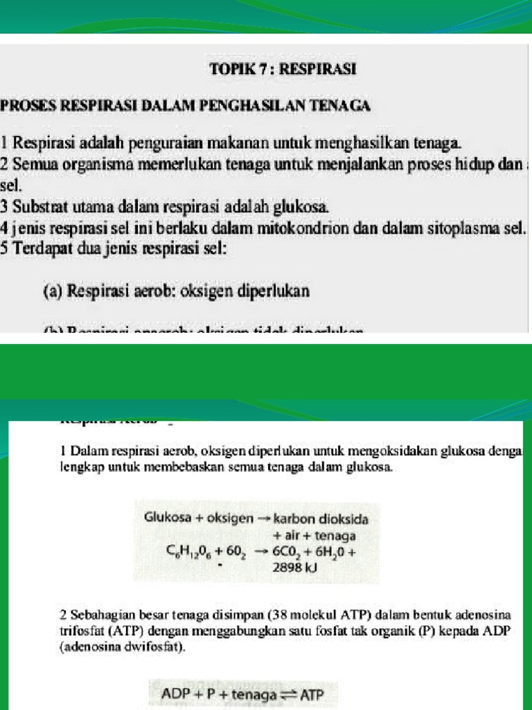 Bab 7 Bio Form 4 | PDF