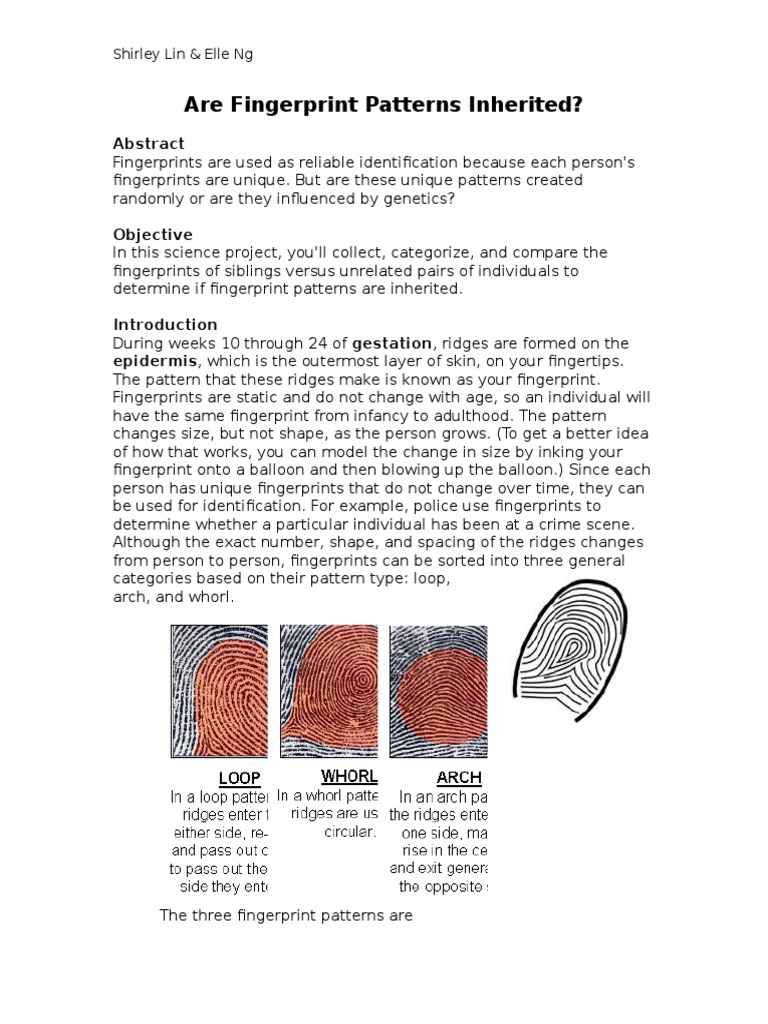 Inheritance of Fingerprint Patterns | PDF | Fingerprint | Sibling