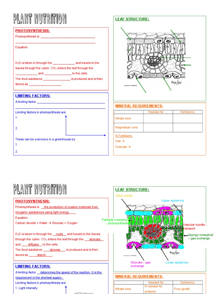 Bio Plant Nutrition | PDF