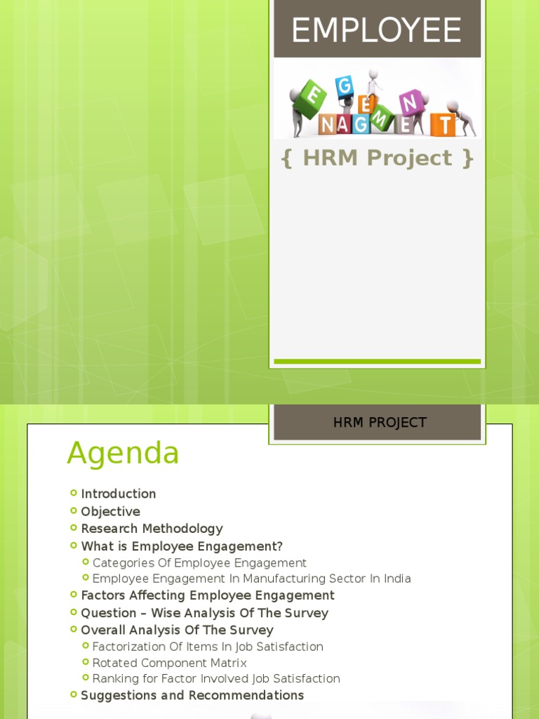 HRM Project | PDF | Human Resource Management | Job Satisfaction