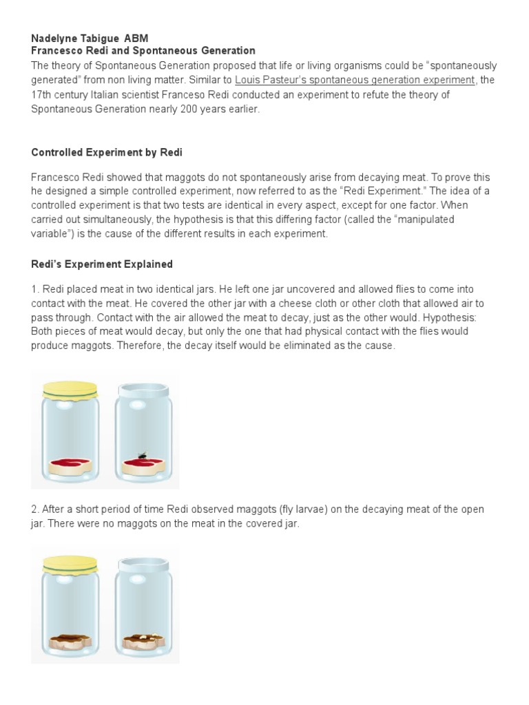 Be Ssssss Sssssssss | PDF | Experiment | Hypothesis