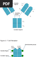 Campus Map QUB | PDF | Academia | Science