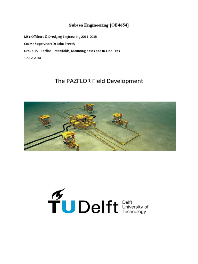 TOTAL Angola Block 17 Pazflor Fields Development Project | PDF ...