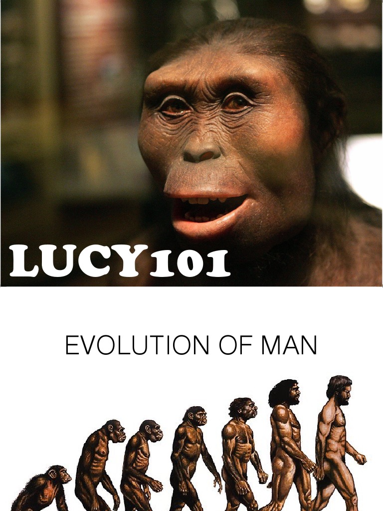 LUCY Presentation | PDF | Lucy (Australopithecus) | Bipedalism