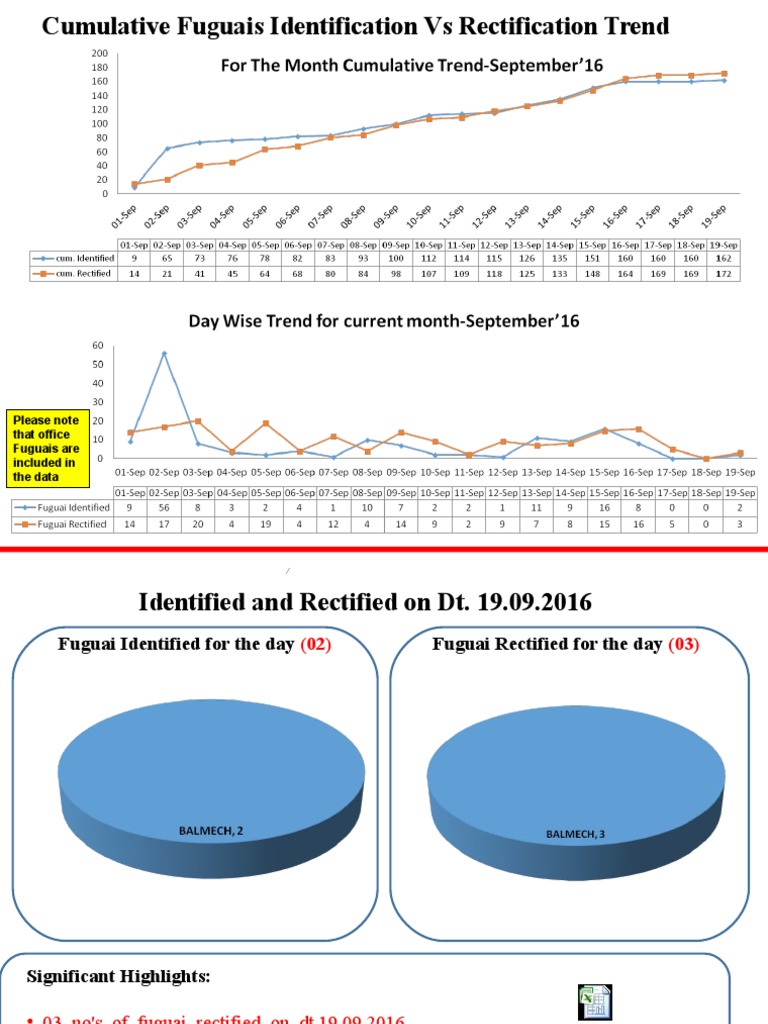 Daily Fuguai Report | PDF