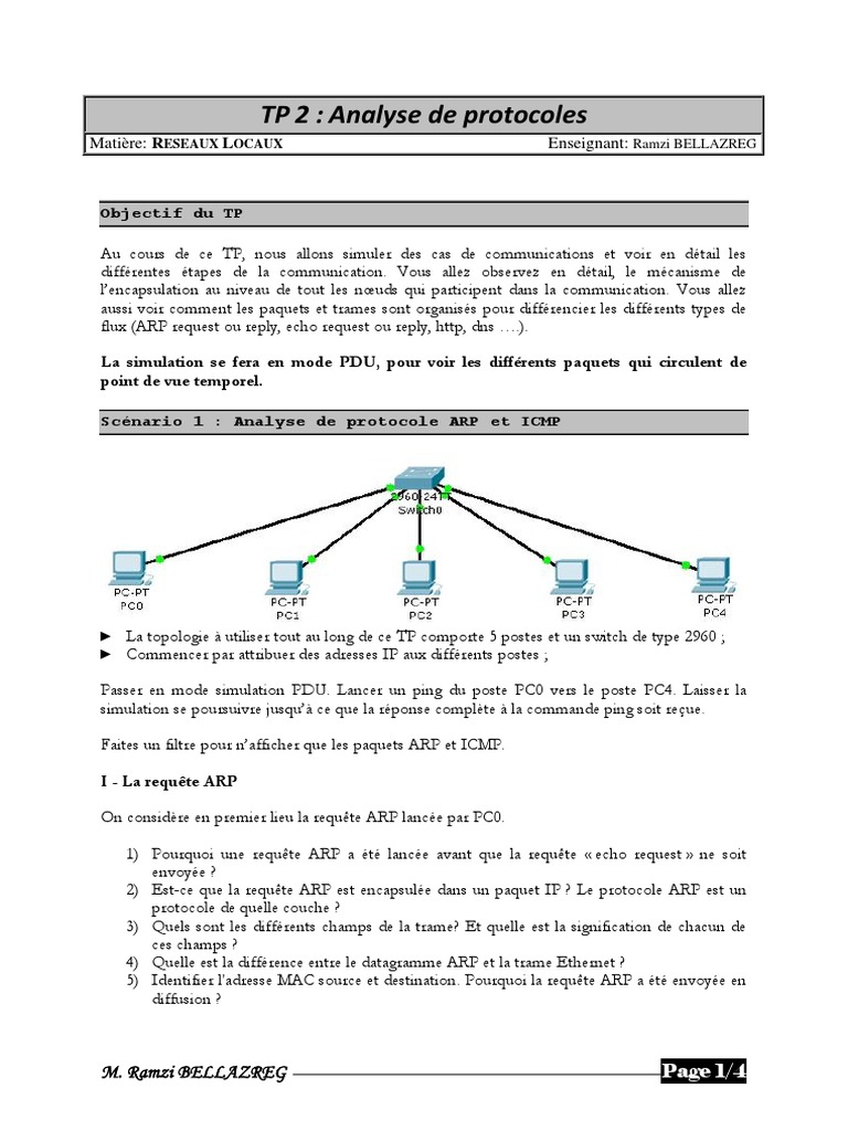 TP2 Reseaux Analyse de Protocoles | Protocoles Internet | Domain Name System