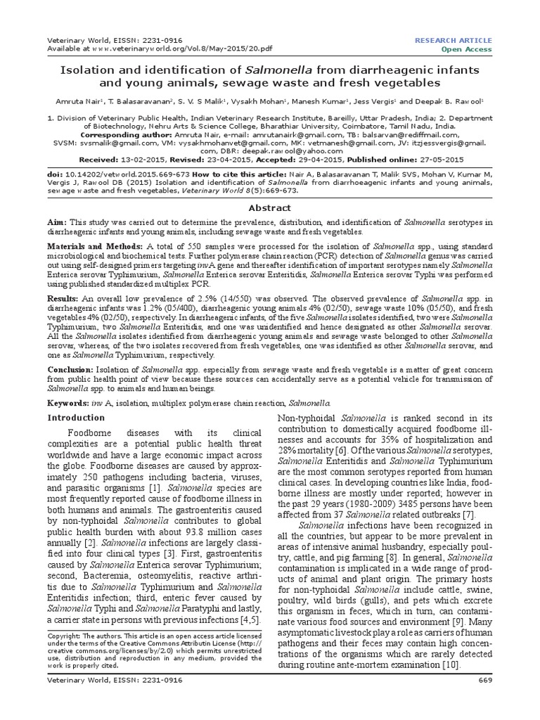 Salmonella Identification | PDF | Salmonella | Agarose Gel Electrophoresis